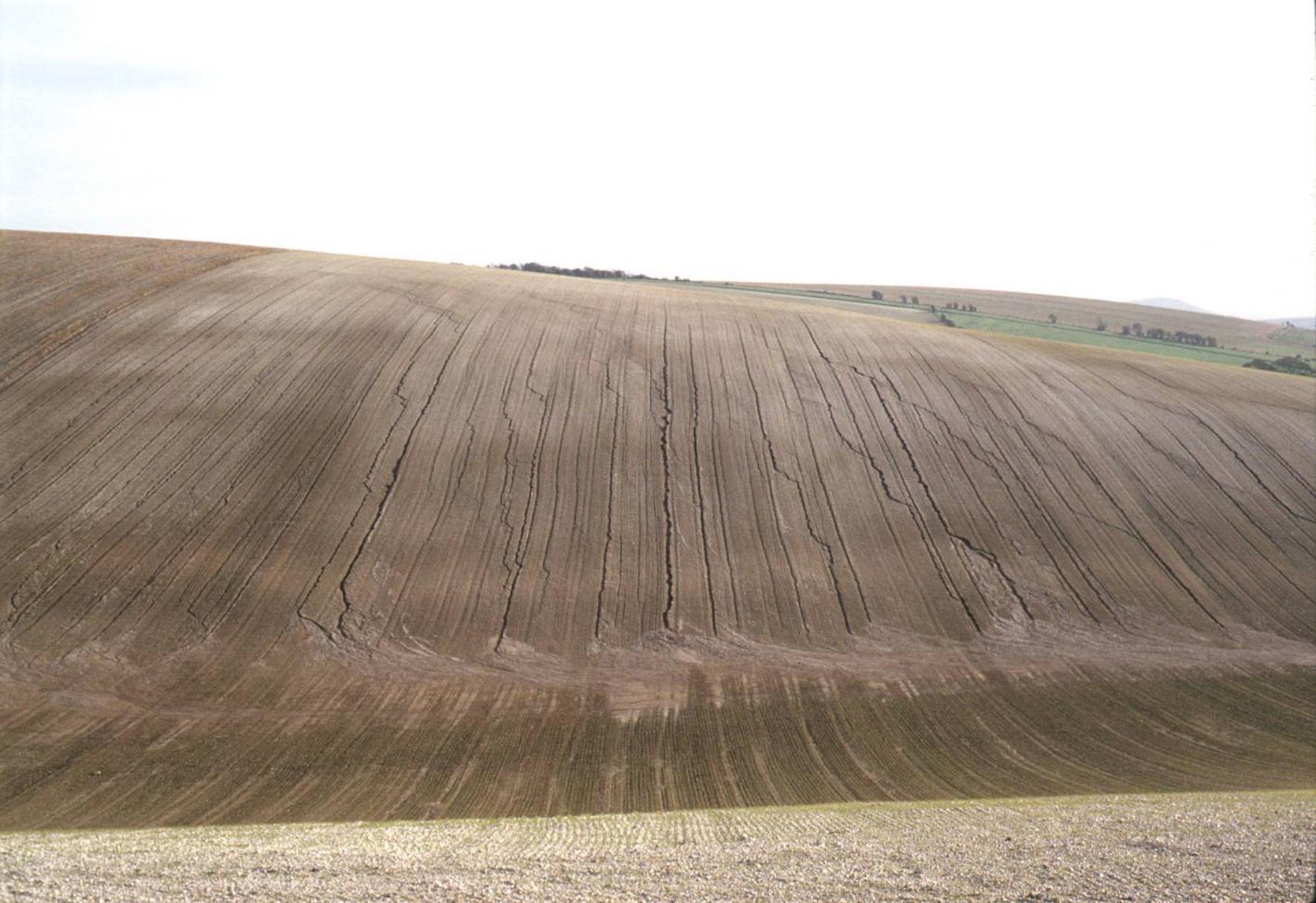 The Soil Erosion Site - The On-site Impacts of Erosion